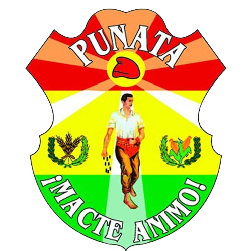 Gobierno Autonomo municipal De Punata
